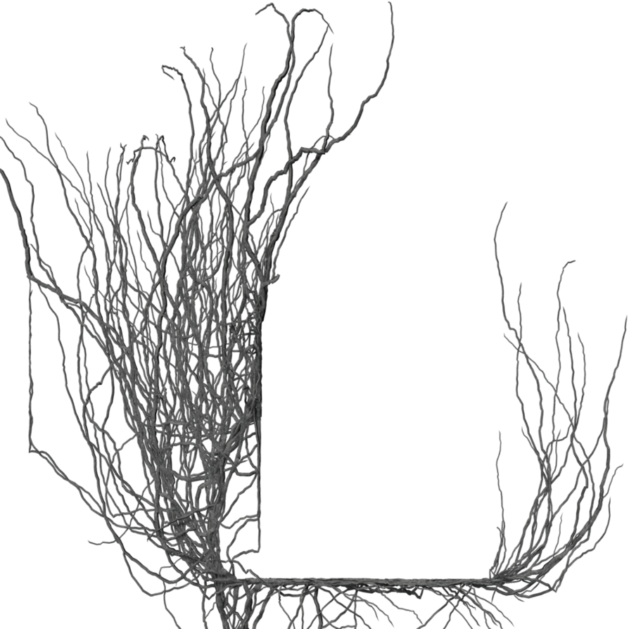 Branch Frame 02 By Brokenwing3dstock - Branch Frame Png - (894x894) Png ...