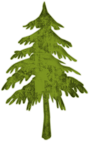 Evergreen Or Fir Tree 2 Icon - Pine Tree Icon Png - (512x512) Png ...