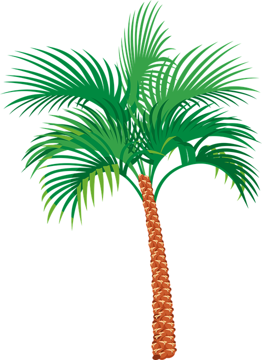Palm Sunday Clipart 12, - Dates Tree Vector Png - (524x720) Png Clipart ...