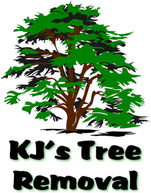 Arid Agriculture University Logo - (300x400) Png Clipart Download