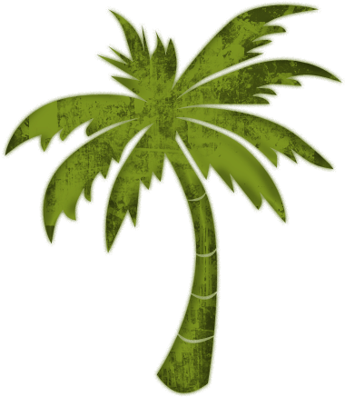 Palm Trees - (512x512) Png Clipart Download