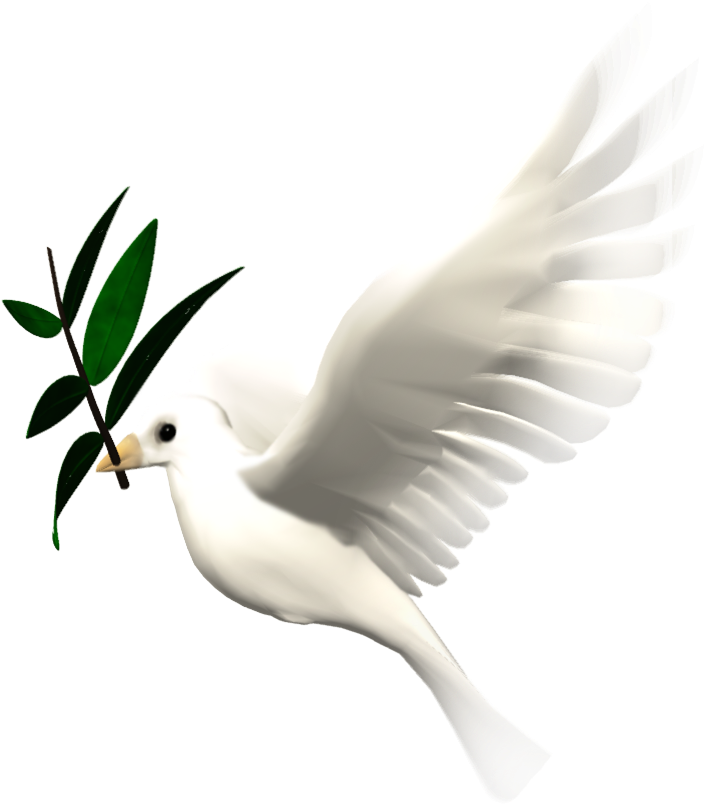 Bird Animation Giphy Clip Art - Duif Gif - Full Size PNG Clipart Images ...