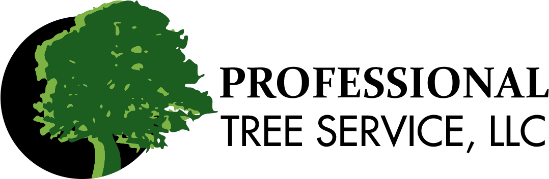 Tree Trimming Logo Wwwimgkidcom - Tree Service Logos - (1077x367) Png ...