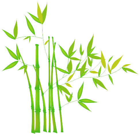 Bamboo Transparent Png Png Mart - Bamboo Image Without Background ...