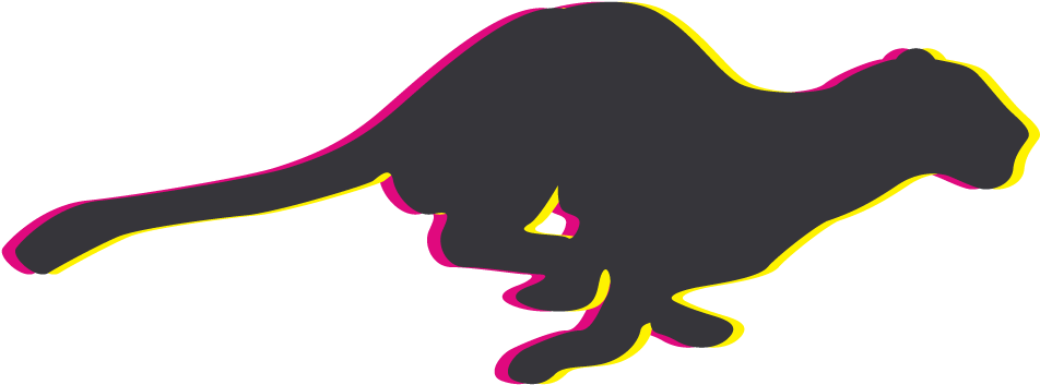 Puma Logos And Assets - Puma Server Rails - (1000x418) Png Clipart Download