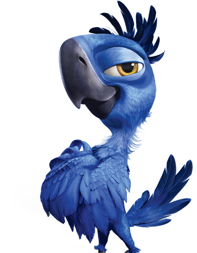 Clipart For U - Rio 2 Tiago - (512x512) Png Clipart Download
