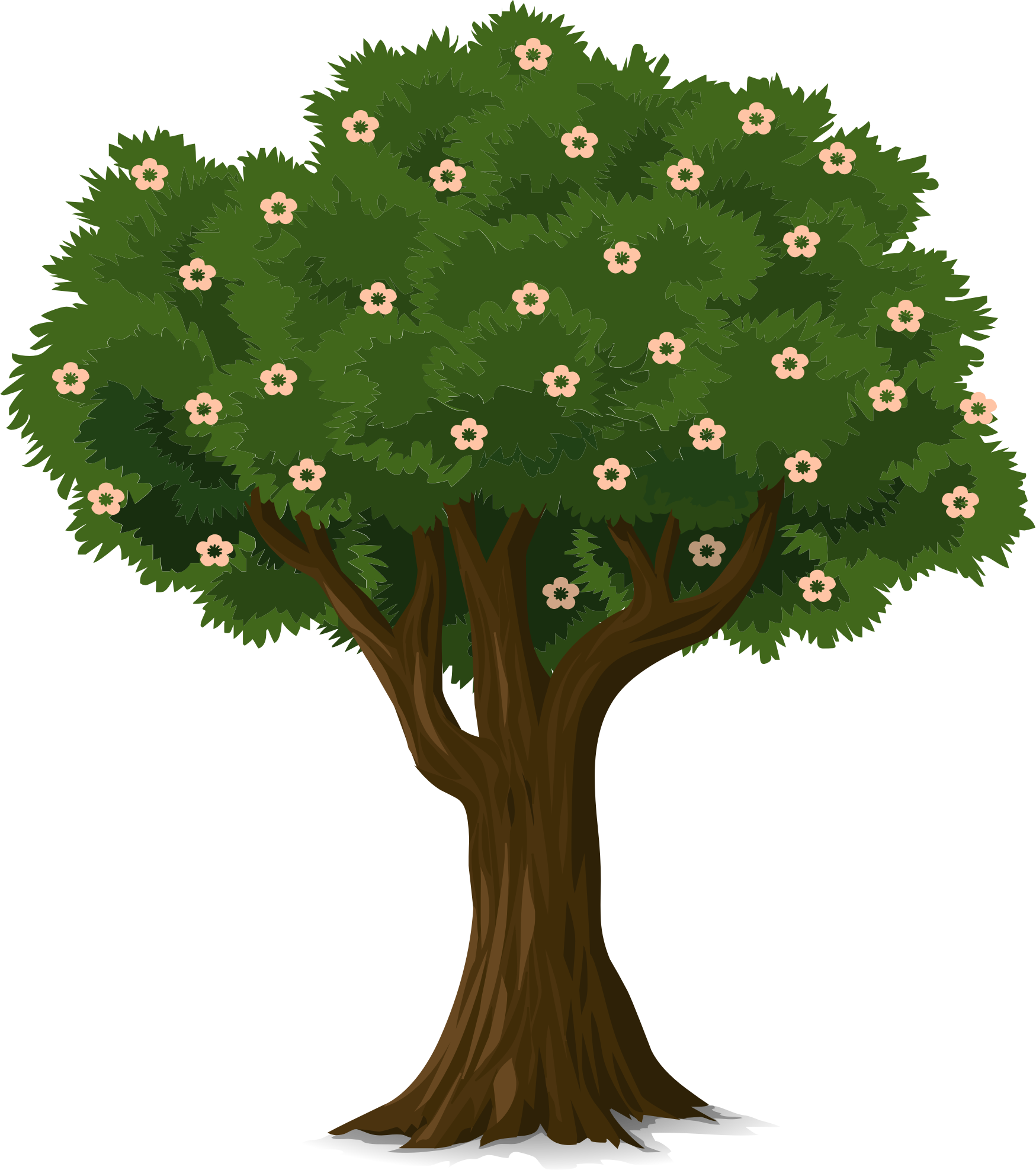 Tree - Tree - (1749x1975) Png Clipart Download
