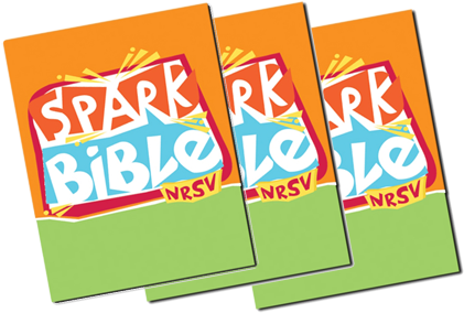 Bibles For Sunday School Students - Spark Bible: New Revised Standard ...
