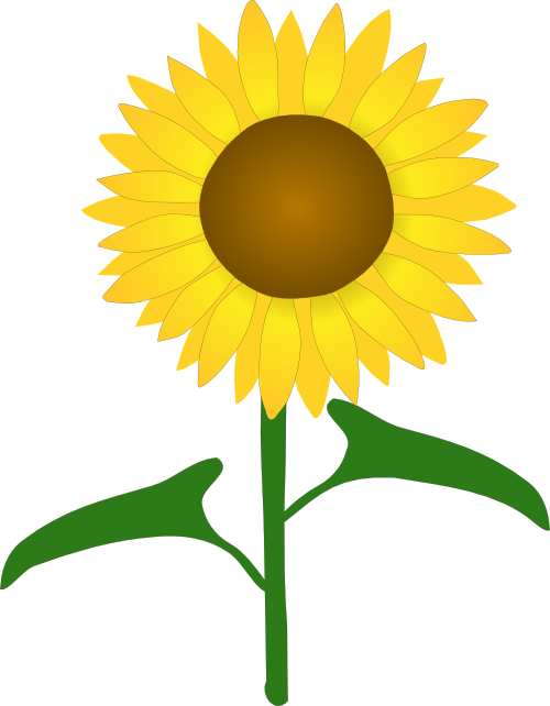 Sunflower Free Svg Sunflower Svg 500x642 Png Clipart Download