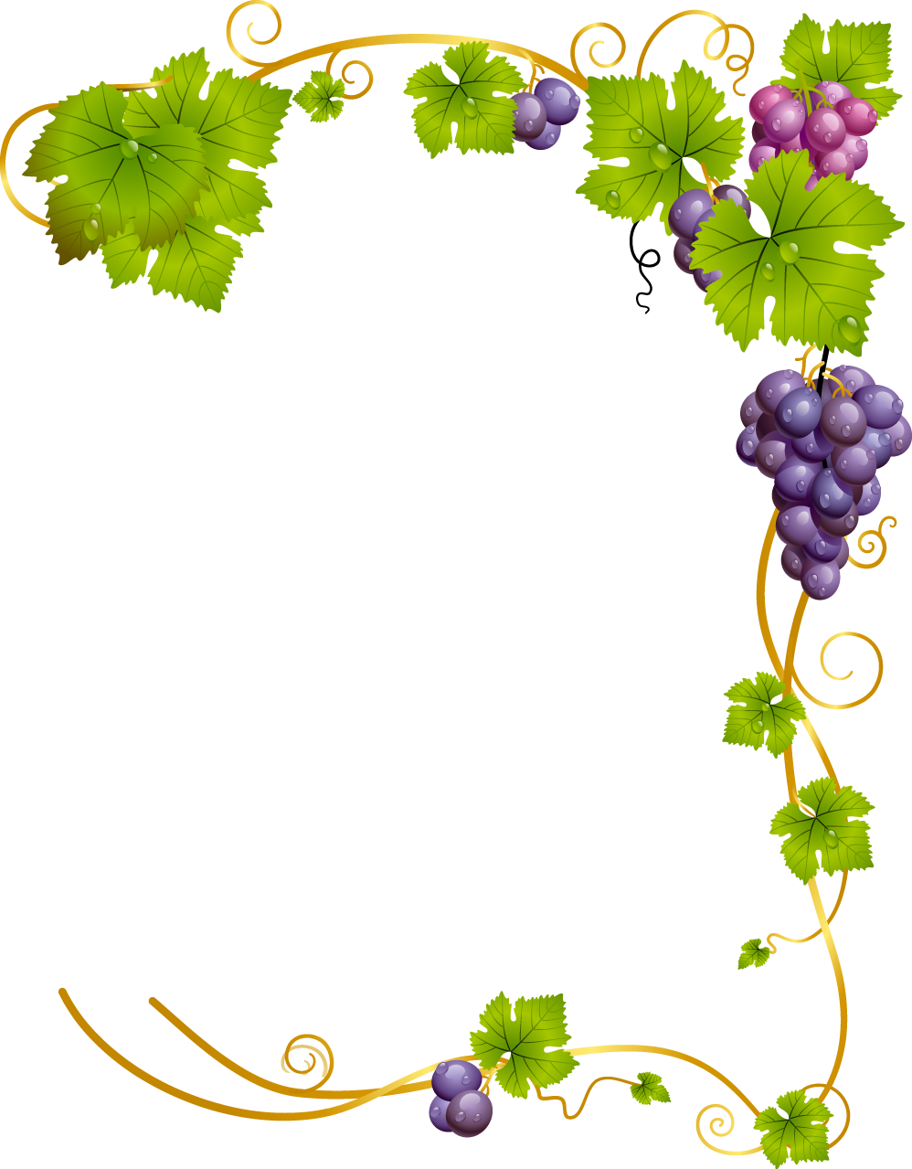 Common Grape Vine Wine - Wine Frame Png - (998x1279) Png Clipart Download