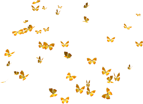 Flying Butterflies Png Image - Butterfly Png - (500x364) Png Clipart ...