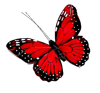 Red Butterfly Png - Red Butterfly Png - (400x320) Png Clipart Download