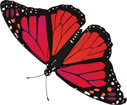 Butterfly Image Png Image - Red Butterfly Transparent Background ...