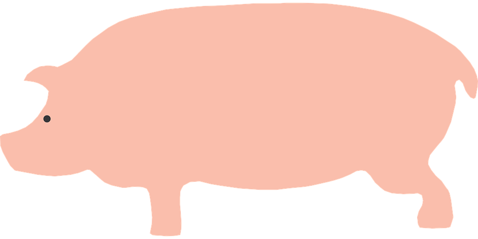 Free Pig Clipart 11, - Cartoon Pig Side View - (960x480) Png Clipart ...