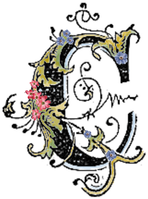 Decorative Letters Fancy Alphabets Clip Art - Decorative Letters Fancy ...