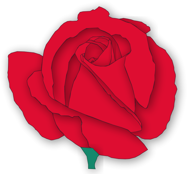 Big Cartoon Flowers - (800x800) Png Clipart Download