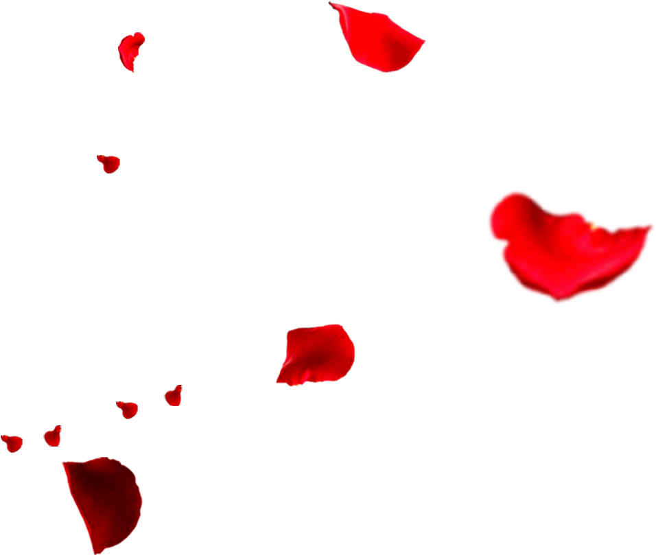 Petal Rose Flower - Rose Petals Falling Png - (982x850) Png Clipart ...