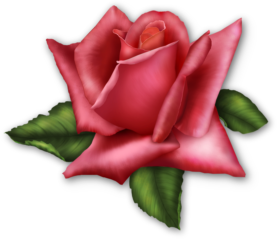 Roses Clipart On Transparent Background - Rose Clip Art No Background ...