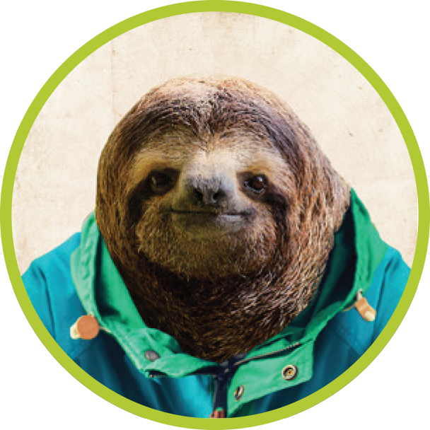 Default Image - Three-toed Sloth - (608x608) Png Clipart Download
