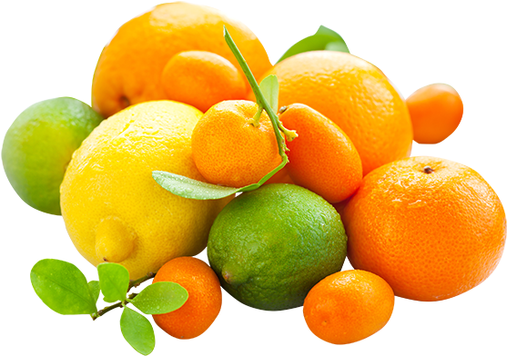 Stock.xchng - (600x409) Png Clipart Download