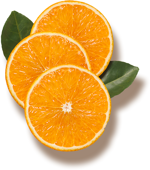 Our History - Orange Top View Png - (519x588) Png Clipart Download