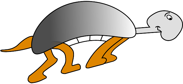 Snoopy Turtle, Turtle Animal, Animal, Funny, Nosy, - Turtle - Full Size ...