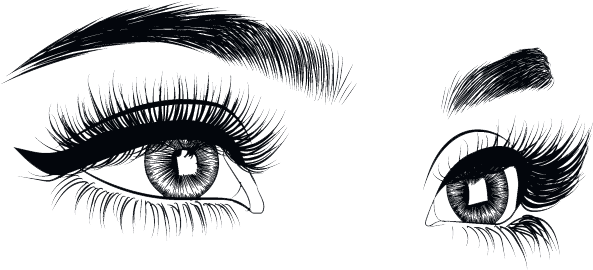 28 Collection Of Eyebrow Drawing Png - Lash Extension Drawing ...