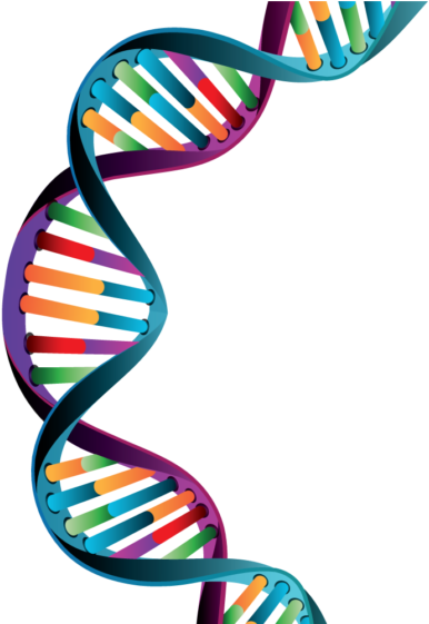 Understanding Pcr: A Practical Bench-top Guide - (560x560) Png Clipart ...