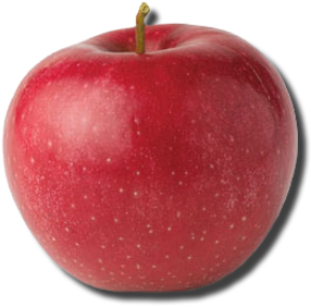 Red Apple Png For Kids - Apple - (600x465) Png Clipart Download