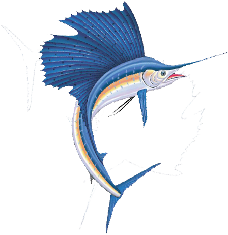 Sailfish 3 - Sailfish Png - (500x500) Png Clipart Download