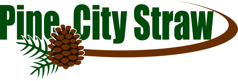 Pine City - (800x274) Png Clipart Download