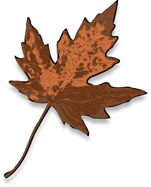 Maple Leaf Clip Art - (486x599) Png Clipart Download