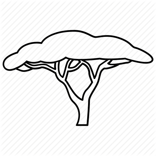 Acacia Tree Coloring Page