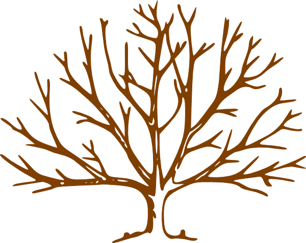 Tree No Leaves Clip Art