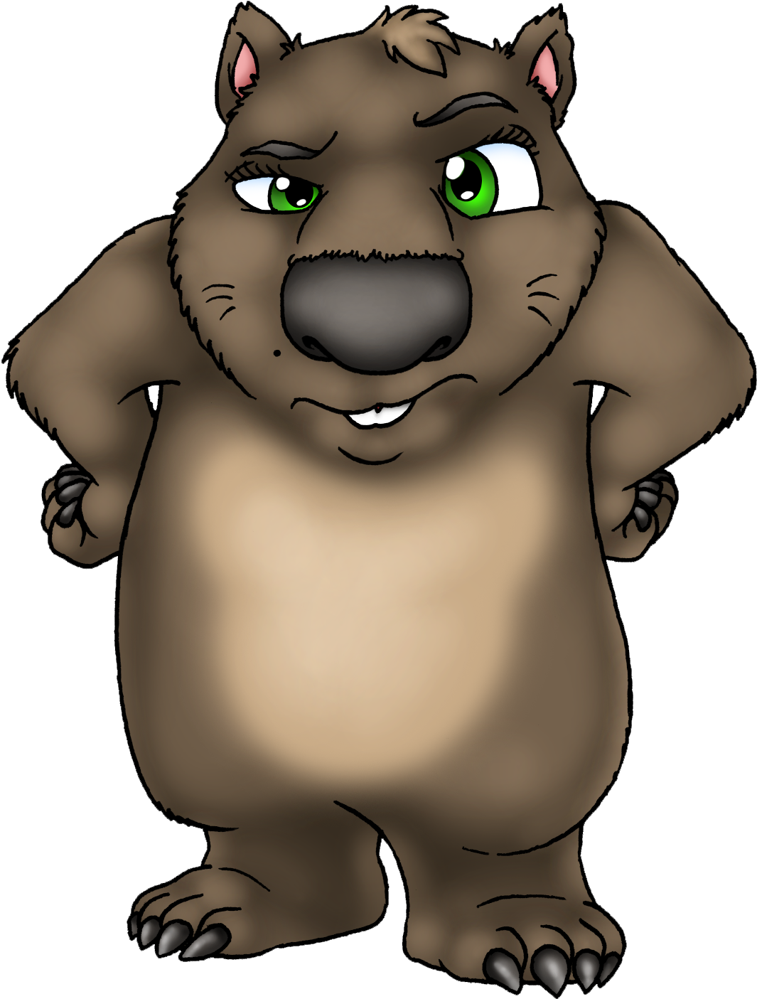 Wombat Clip Art - Wombat Clipart - (1185x1518) Png Clipart Download