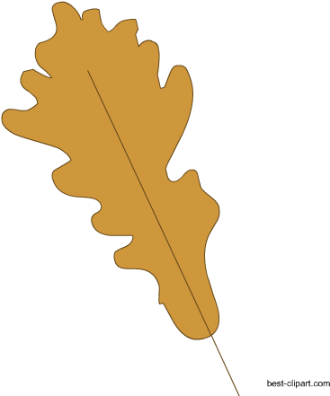 Fall Leaf Clip Art Free - Autumn Leaves - (450x450) Png Clipart Download