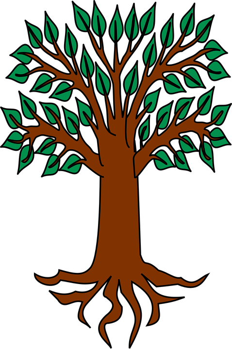 Heraldic Tree Clipart - Tree Heraldry Png - (478x720) Png Clipart Download