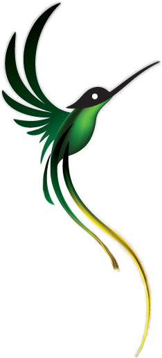 Doctor Bird Clipart - Jamaican Doctor Bird - (234x541) Png Clipart Download