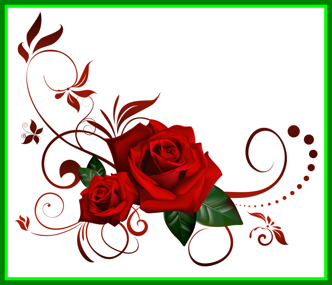 Red Rose Flower Red Rose Flower Frame Png Astonishing - Red Roses ...