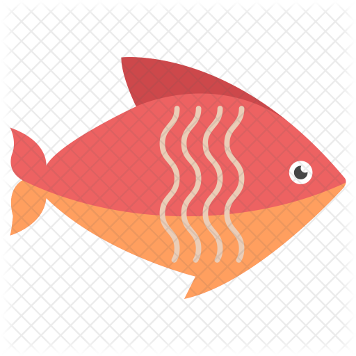 Fish Icon - Freshwater Fish - (512x512) Png Clipart Download