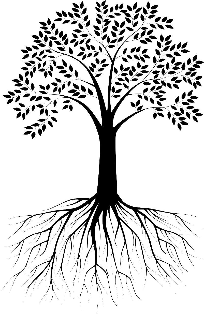 Roots - Tree With Roots Silhouette - (843x1243) Png Clipart Download