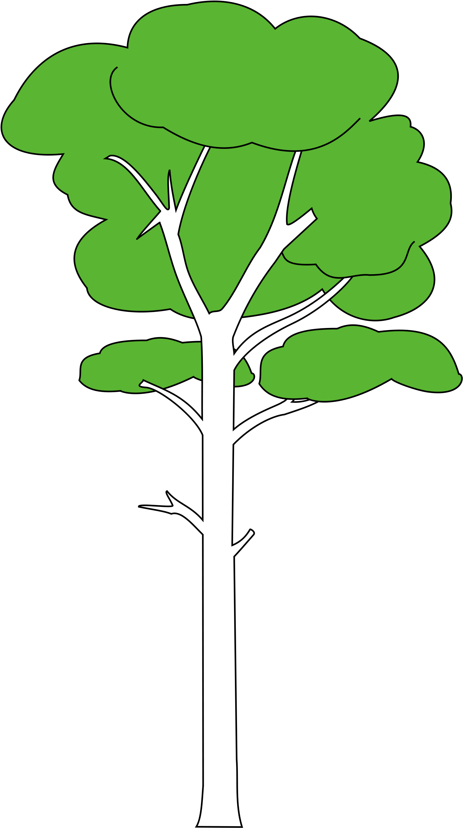 January Tree Cliparts - Clip Art Tall Tree - (2000x2828) Png Clipart ...