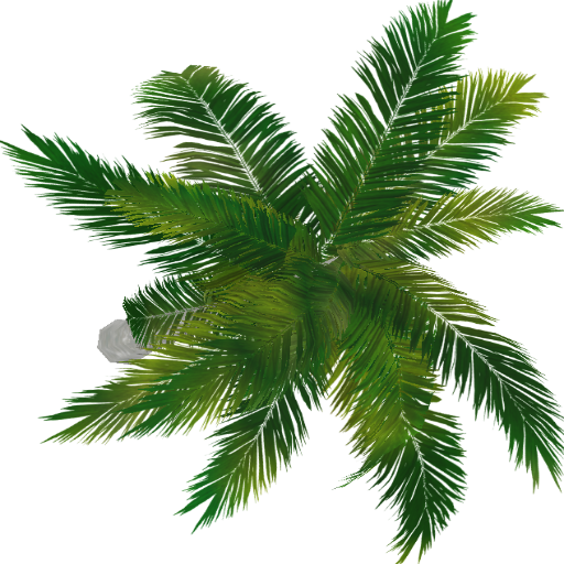 Palm Tree Top View Png - Portable Network Graphics - (512x512) Png ...