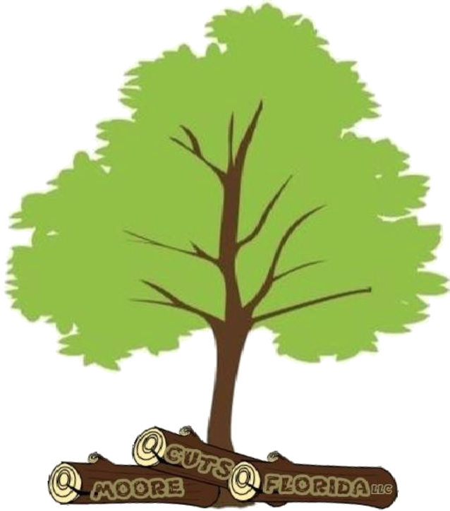 Tree Trimming Tampa - Family Tree Prezi Template - (638x724) Png ...