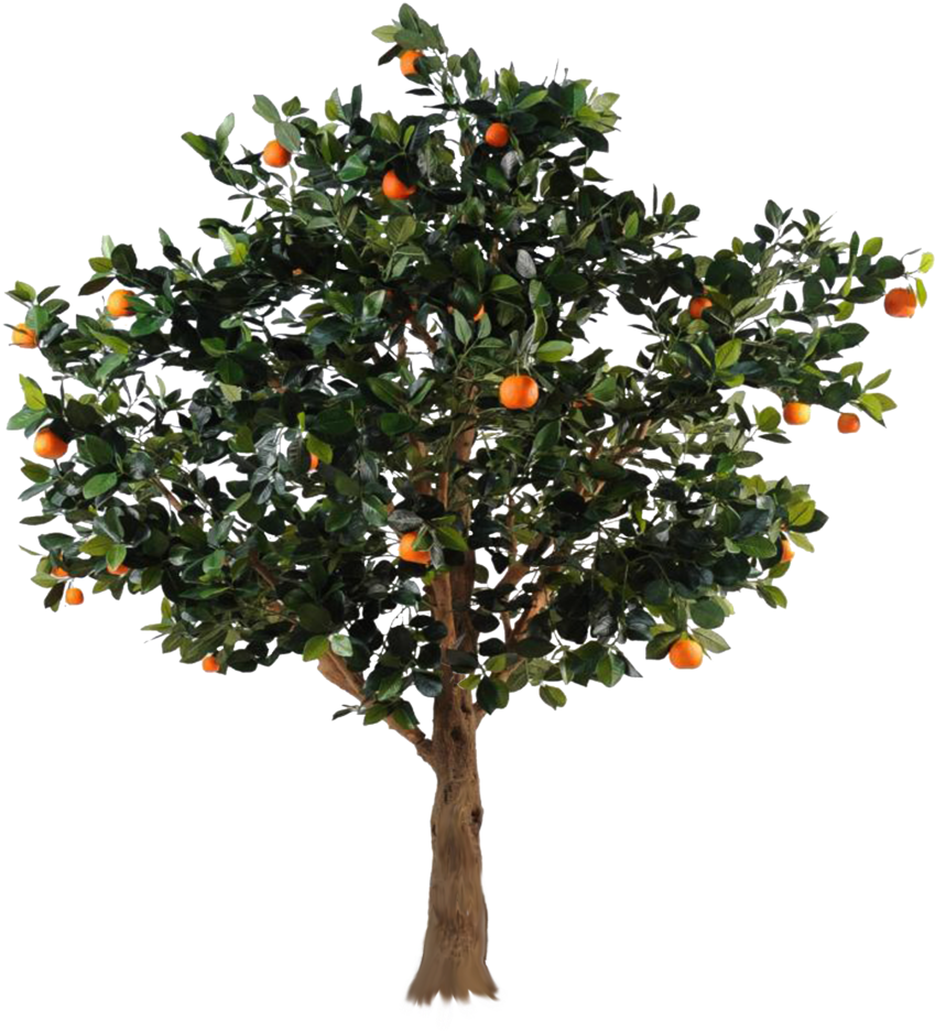 Tree - Professional Multifunctional Garden Tree Pruning Grafting ...