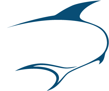 Logo - Shark Window Cleaning - (400x400) Png Clipart Download