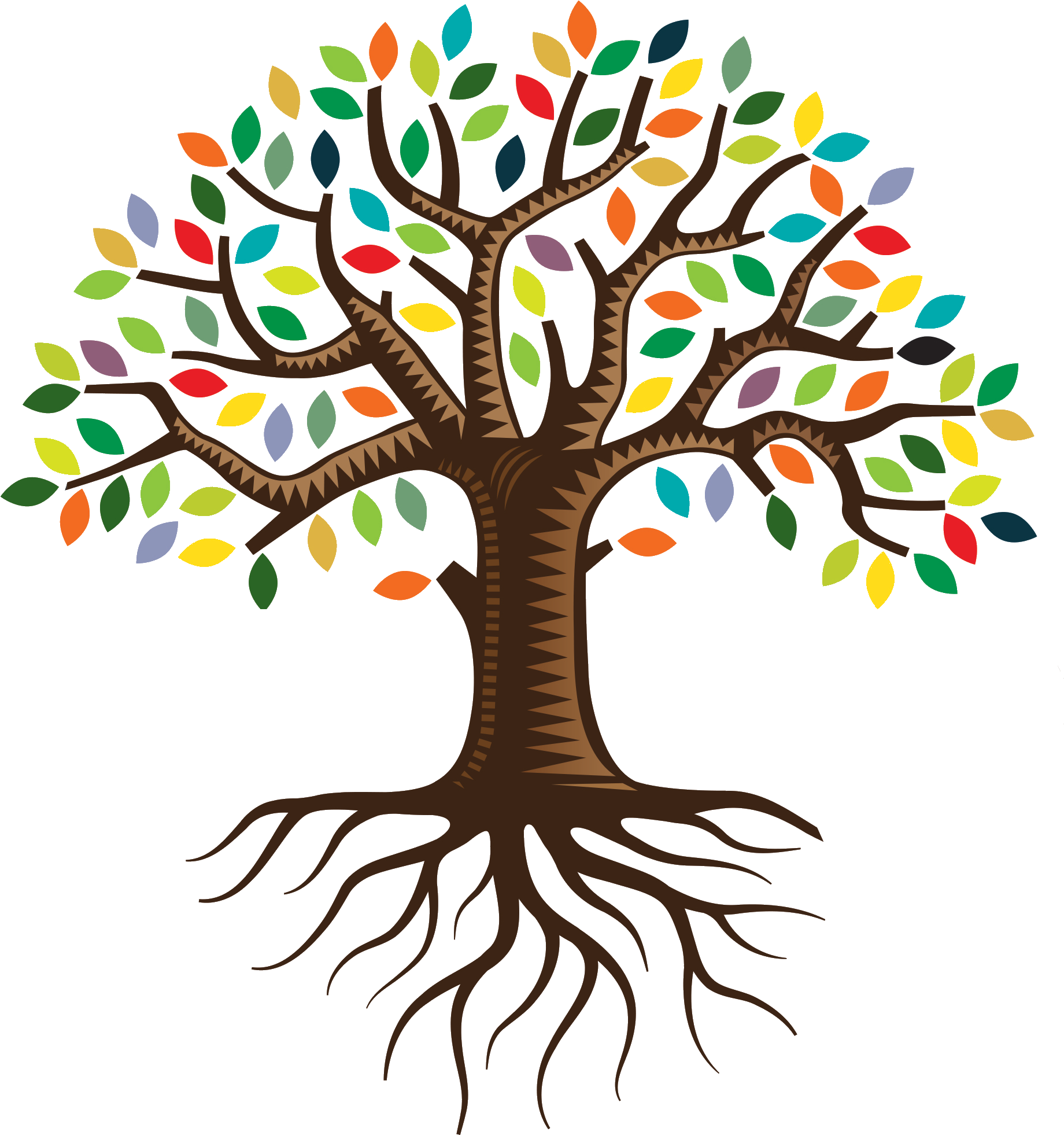 Library - Transparent Tree Of Life - (1872x1991) Png Clipart Download