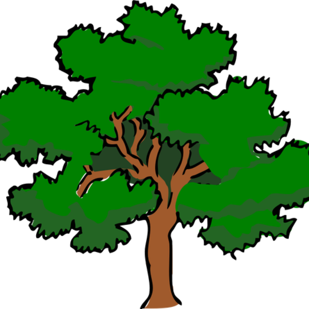 Oak Tree Clip Art Vector Clip Art Of Oaktree With Wide - Prime ...