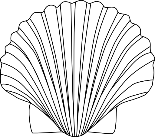 Shell Outline - (512x453) Png Clipart Download