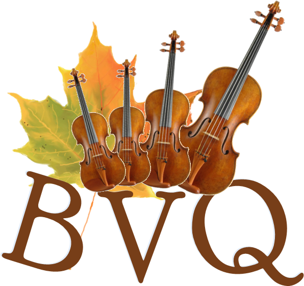 Bvq Logo - Portable Network Graphics - Full Size PNG Clipart Images ...